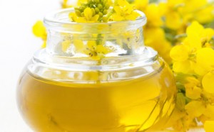 L'huile de colza, championne des oméga-3