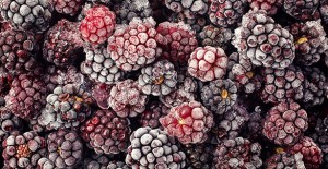 La durée de conservation des aliments congelés : conseils pratiques