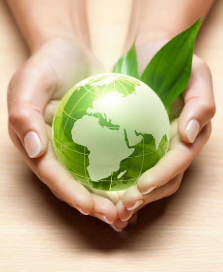 L'éco-responsabilité : véritable enjeu business ? - Page 3 of 3 | Page 3