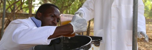 Faso Soap, le savon contre le paludisme