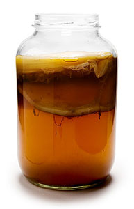 Le kombucha, boisson d'immortali-thé