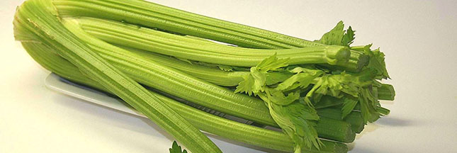 Guide des légumes de saison à cuisiner en décembre