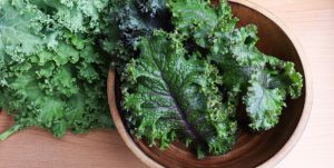 Le chou kale, un chou frisé très vitaminé et polyvalent
