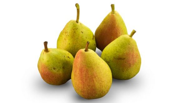 Jardinage - En septembre, récoltez les poires