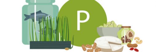 Les aliments riches en phosphore