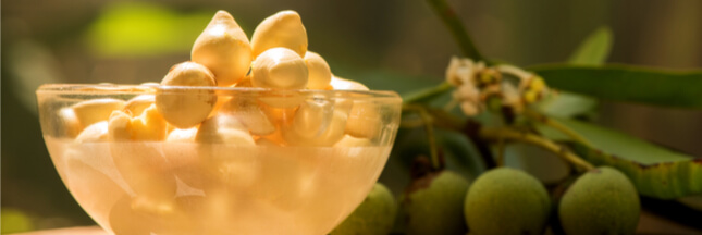 L'huile de calophylle, l'huile qui prend soin de vous