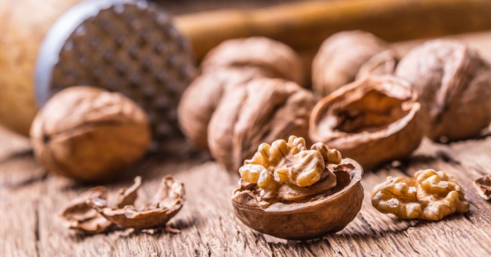 Des psoques dans la maison ! Que faire