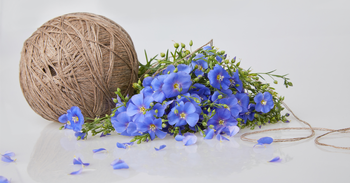 Pour s'habiller local et écologique, un seul choix : le lin