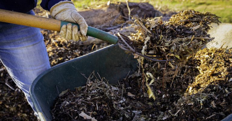 La méthode Jean Pain : de l'énergie verte grâce au compost de broussailles