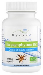 Harpagophytum : comment renforcer ses effets sur les articulations