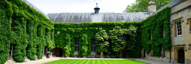 Le lierre, son utilité et comment le maîtriser