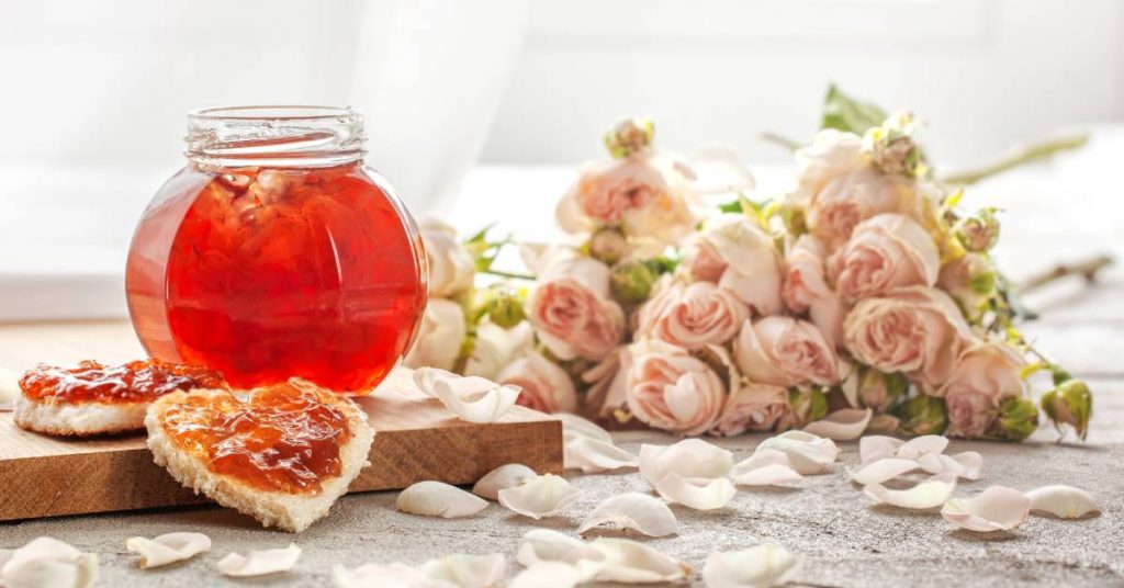 Tillandsia : cette mystérieuse plante sans racine