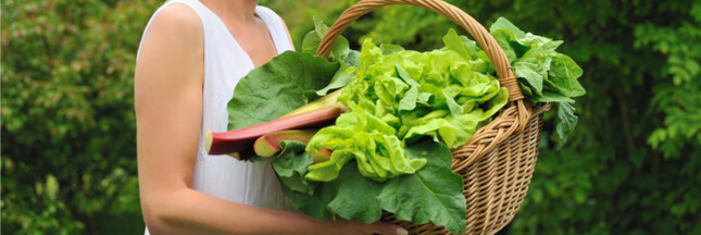Légumes de mai : cuisiner avec le panier de légumes du mois de mai