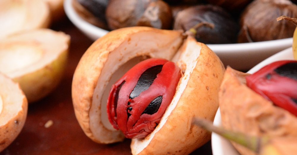 Comment creuser un puits ? Notre tutoriel jardinage pratique