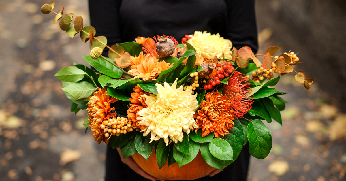 Fleurs d'automne : quelles fleurs pour un bouquet de saison
