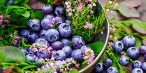 Adoptez un fruit ou un légume violet, aliments aux nombreux bienfaits