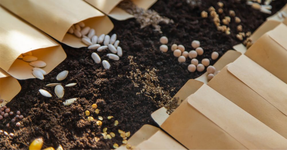 Graines bio : le guide d'achat des semences de légumes, fleurs, aromates