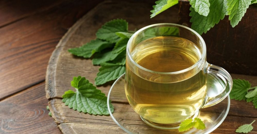 Le maté, la boisson énergisante naturelle aux nombreuses propriétés