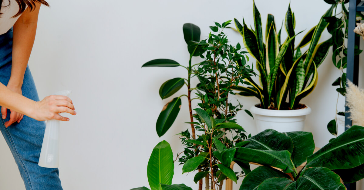 Comment creuser un puits, tutoriel jardinage pratique