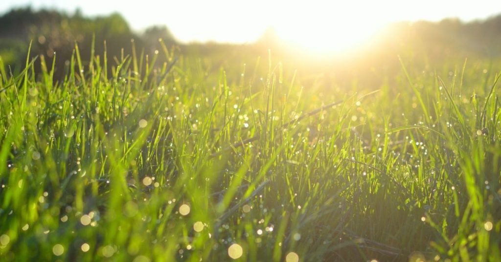 Economies d'électricité : 15 astuces pour réduire sa facture d ...