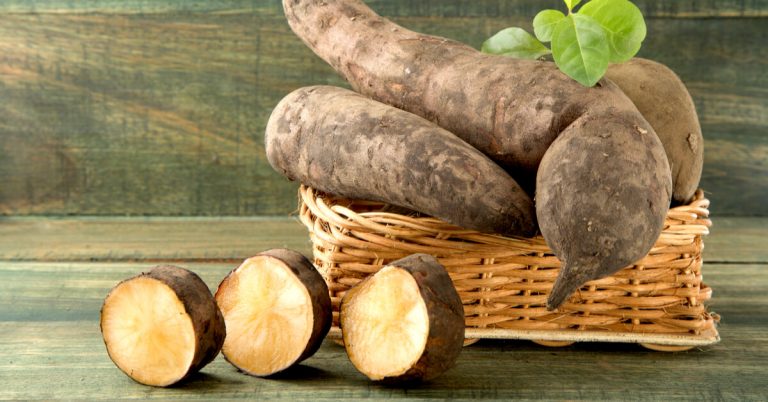 Le yacon ou poire de terre, un légume croquant et sucré