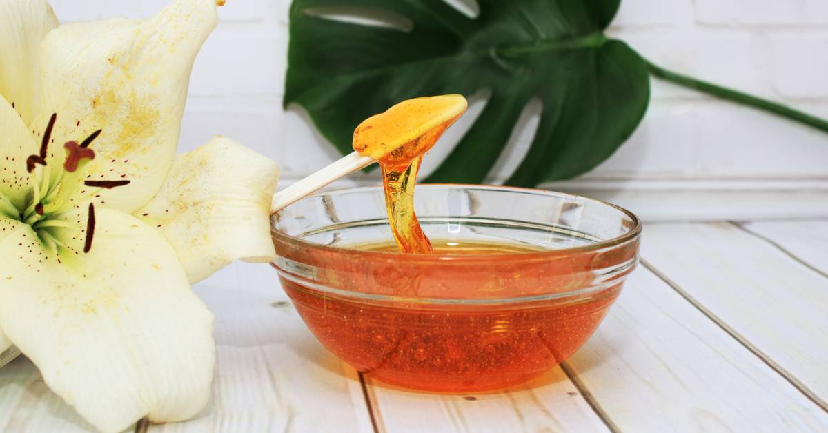 Cire Maison Sans Miel | Ventana Blog