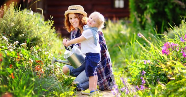 7 conseils pour un jardin bio naturel au printemps