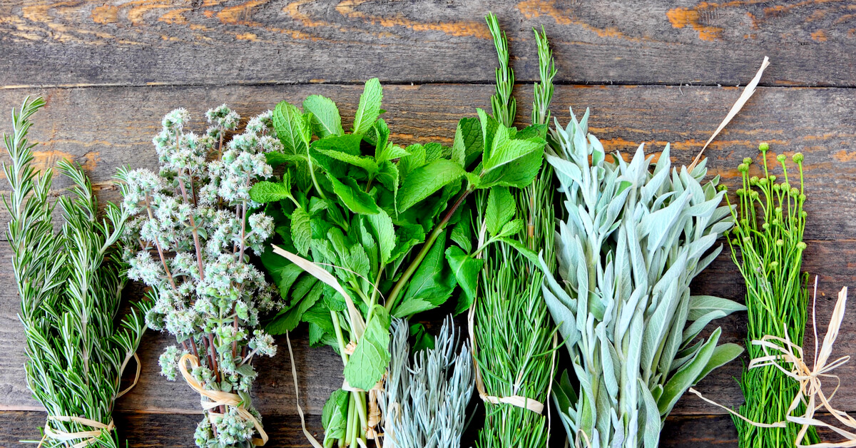 Des aromates naturels pour garder la forme tout en se régalant