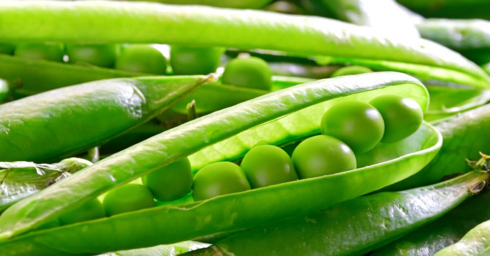 Le petit pois, un légume riche en vitamines et en minéraux