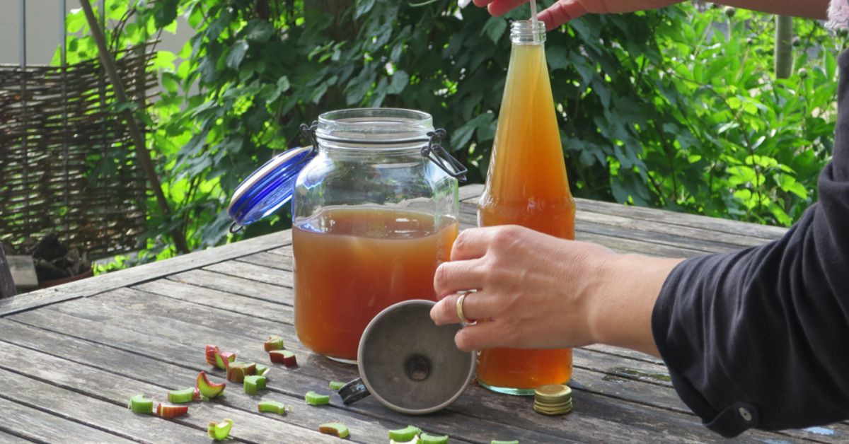 Jardin bio : les différents purins et leurs multiples usages, tout savoir