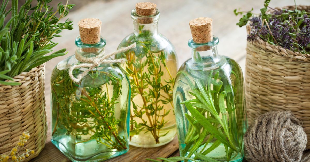 Liqueur De Sauge Maison | Ventana Blog