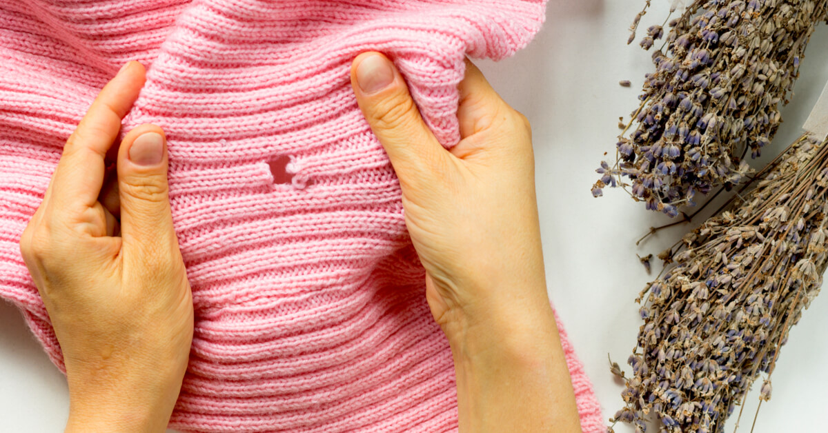 Antimites, toutes les astuces naturelles et efficaces