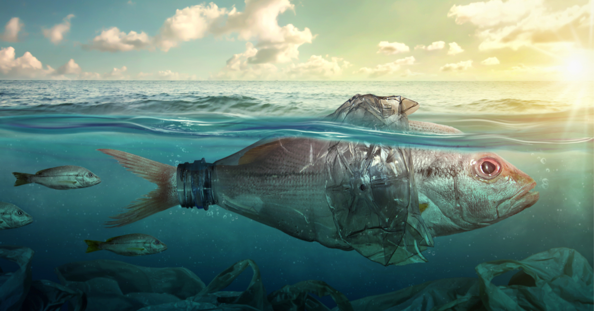 Des tonnes de plastiques au fond des océans, l'Europe n'est pas en reste