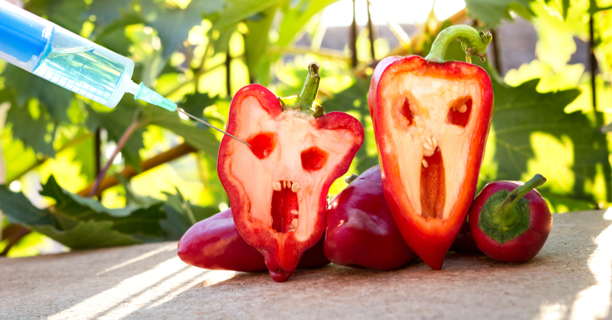 Miam, des centaines d'OGM dans nos assiettes selon la DGCCRF