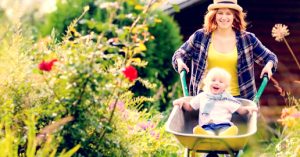 Tillandsia : cette mystérieuse plante sans racine