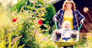 Tillandsia : cette mystérieuse plante sans racine