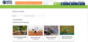 Biodiversité : une carte interactive pour trouver des espèces inconnues