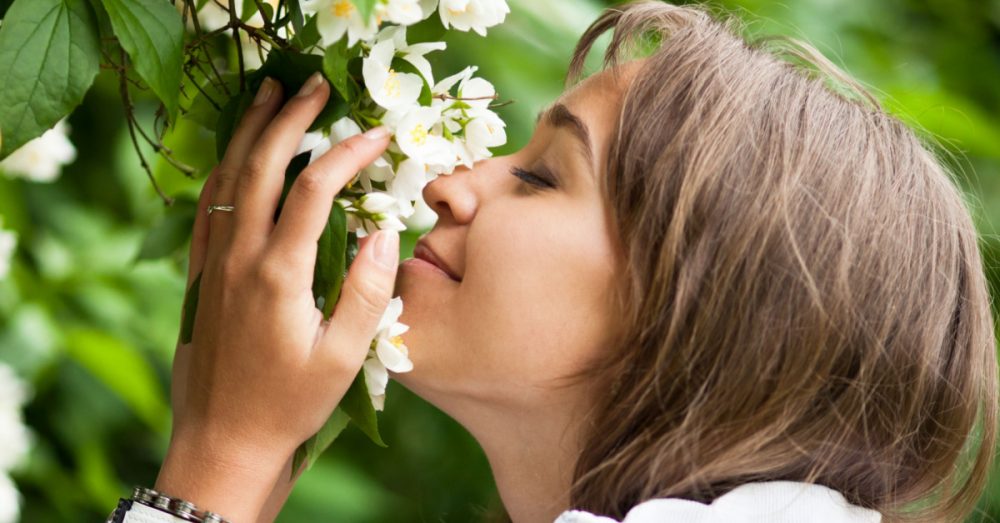 Bien-être : les odeurs qui font du bien à notre mental