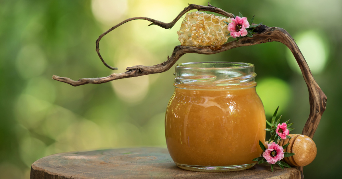 Le miel de Manuka, nectar aux vertus exceptionnelles
