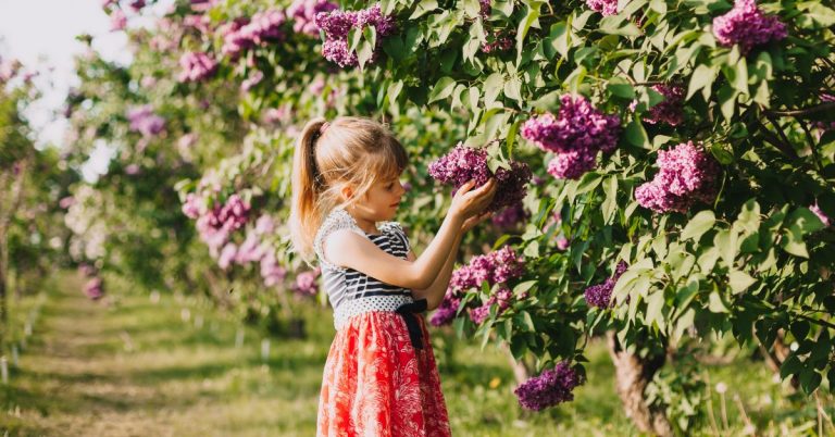 Animaux au printemps : 10 espèces à observer autour de chez vous