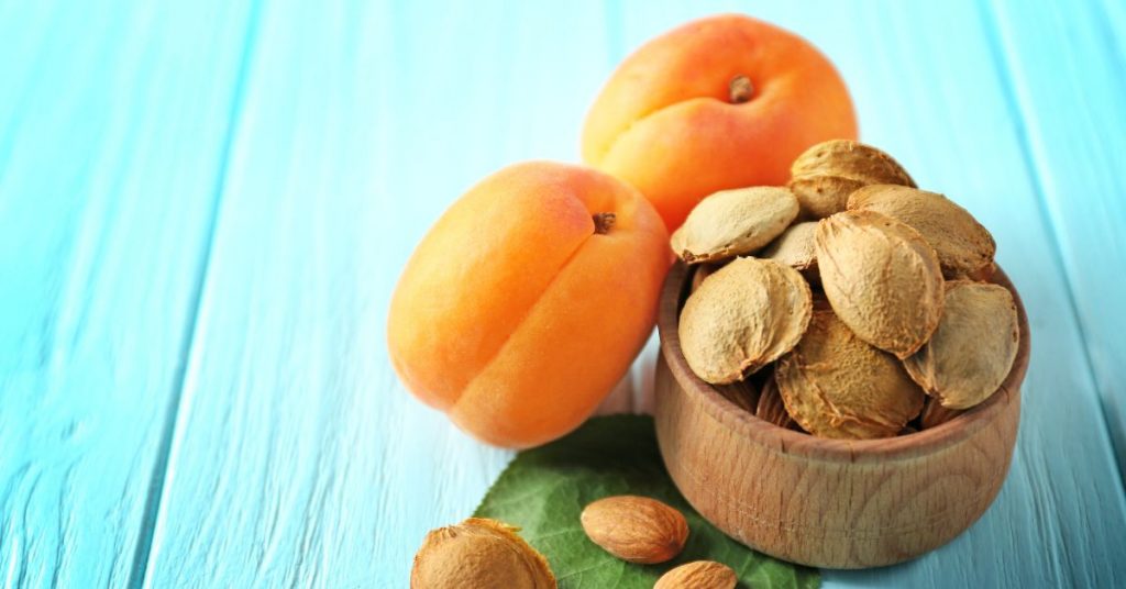 Que faire avec des noyaux de fruits ? 4 astuces recyclage faciles