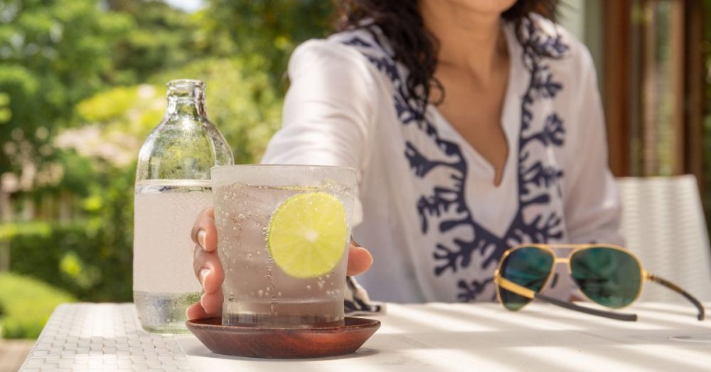 Tillandsia : cette mystérieuse plante sans racine