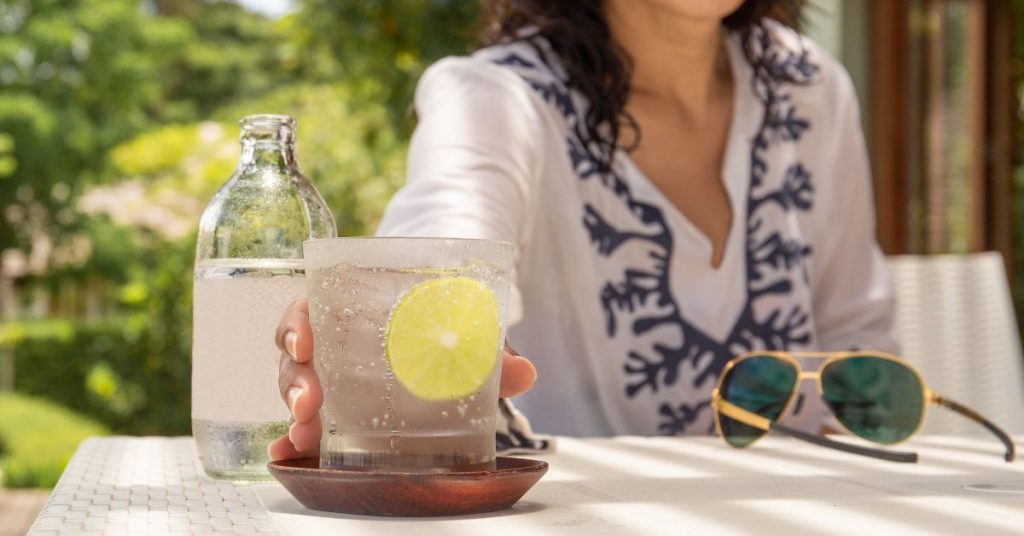 Tillandsia : cette mystérieuse plante sans racine