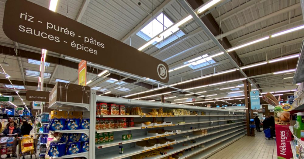 Tillandsia : cette mystérieuse plante sans racine