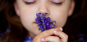 Bien-être : les odeurs qui font du bien à notre mental
