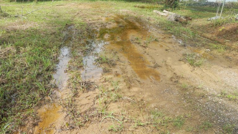 Votre jardin est boueux ? 3 astuces pour l'assécher et autres conseils