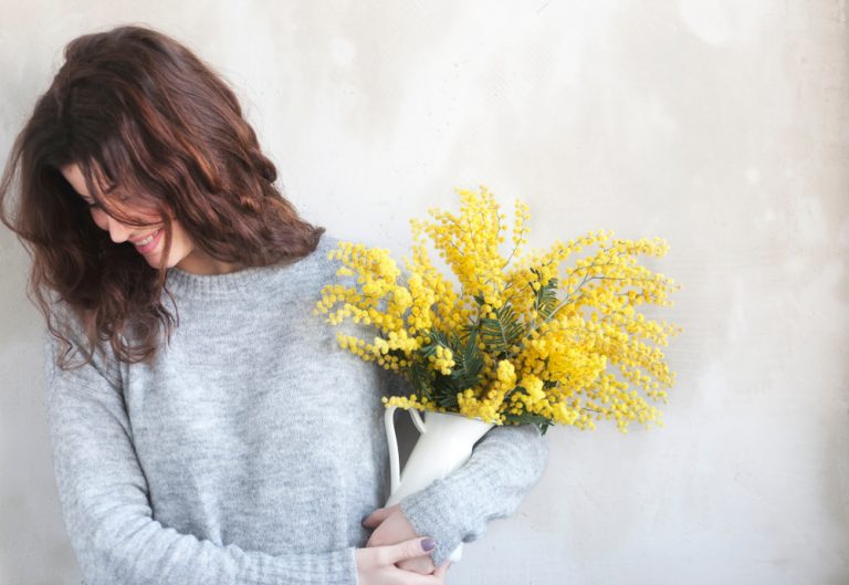 Entretenir un mimosa en pot ou en pleine terre : tous nos conseils