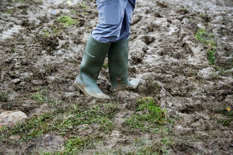 Votre jardin est boueux ? 3 astuces pour l'assécher et autres conseils