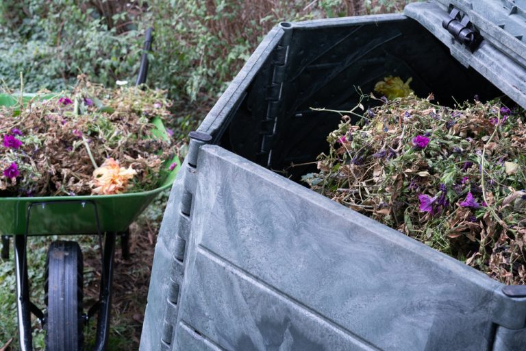 Recycler les fleurs fanées : 6 idées DIY créatives et inspirantes