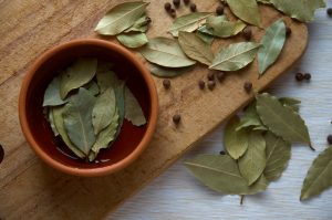 Les multiples usages des feuilles de laurier : cuisine, beauté, santé...